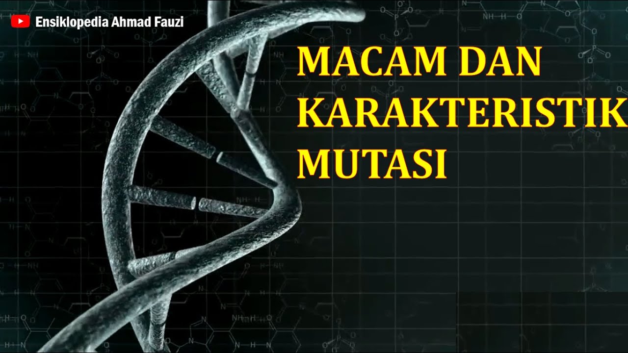 Macam Mutasi, Klasifikasi Mutasi, dan Karakteristik Mutasi - YouTube