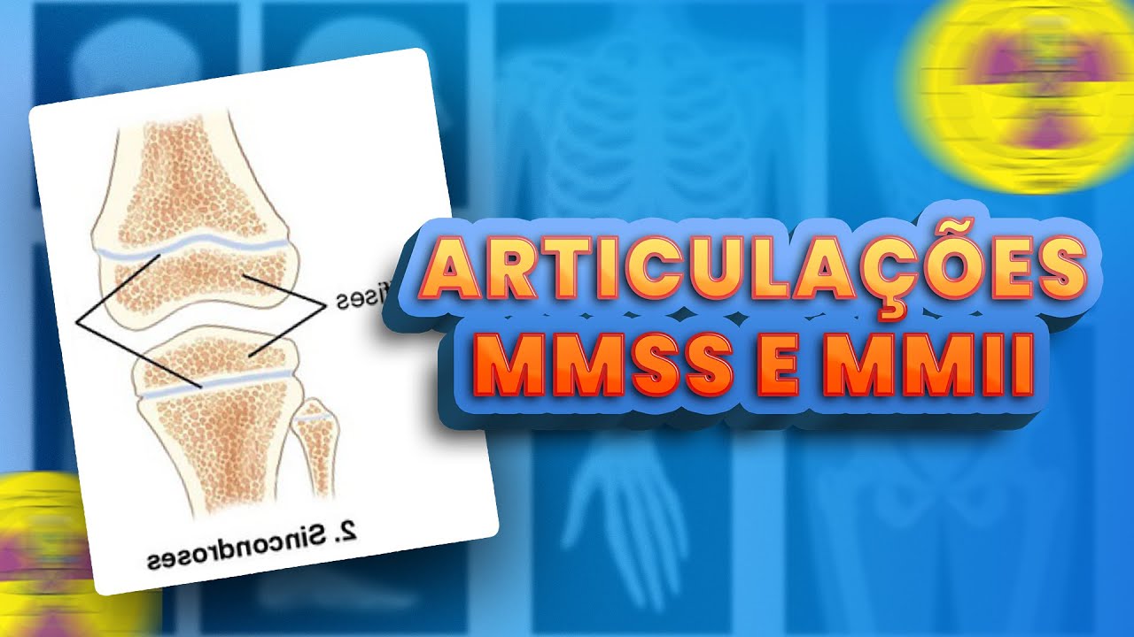 Mmss E Mmii Significado - LIBRAIN