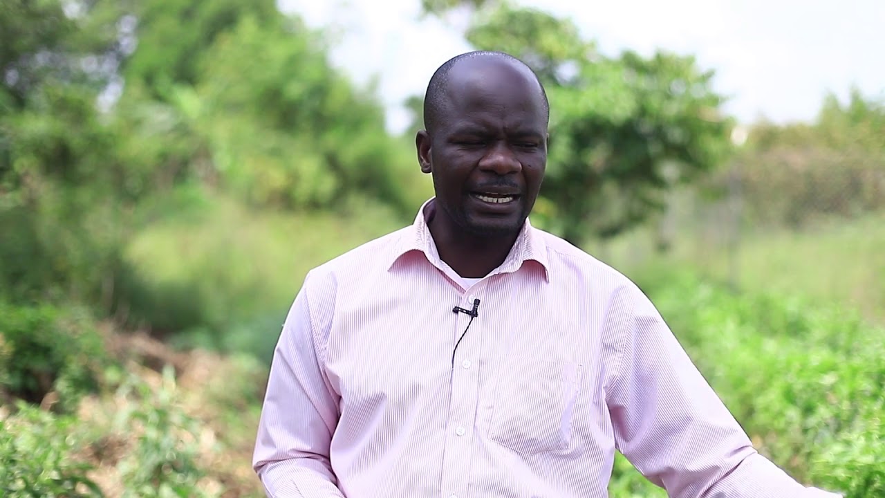 A farmer in Luwero District expressing how the EzyAgric App has changed ...