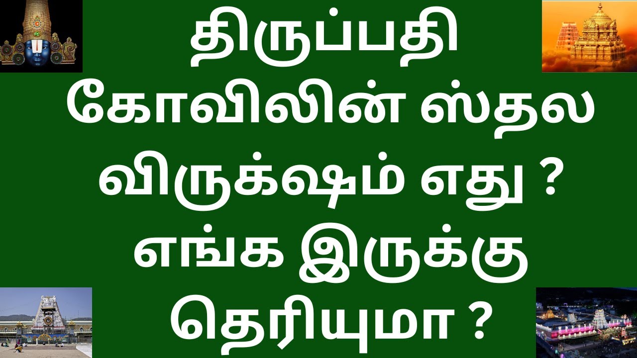 Tirumala Srivari Temple Sthala Vruksham - YouTube