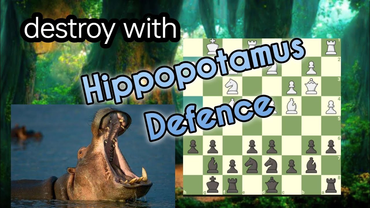 Hippo Defense: The Most Hilarious Way to Lose a Chess Game - YouTube
