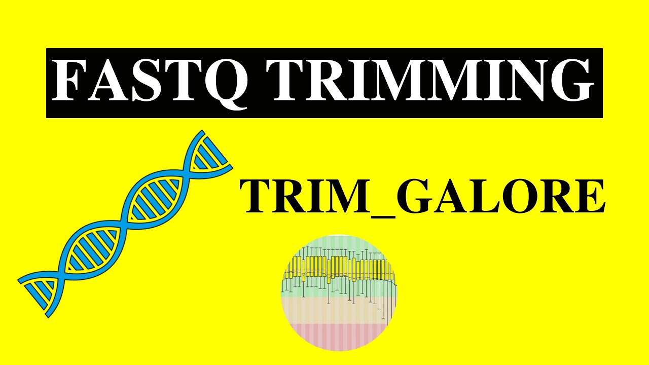 Bioinformatricks - Trim Reads with Trim Galore | Quality Control ...