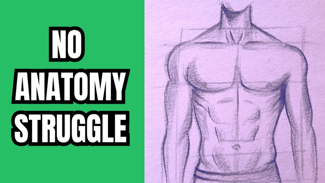 Draw The Male Torso in Minutes | No More Anatomy Struggles | Sketch ...