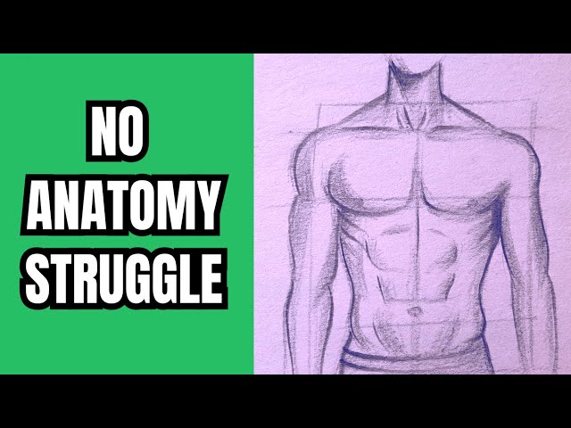 How To Draw Male Torso