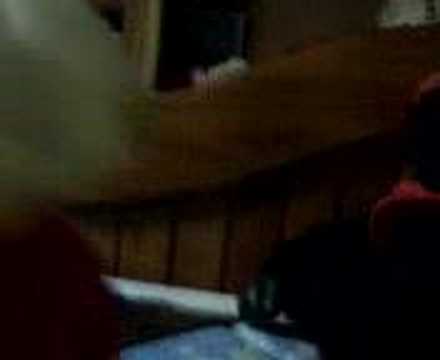 pollo robot con: stuart litlle