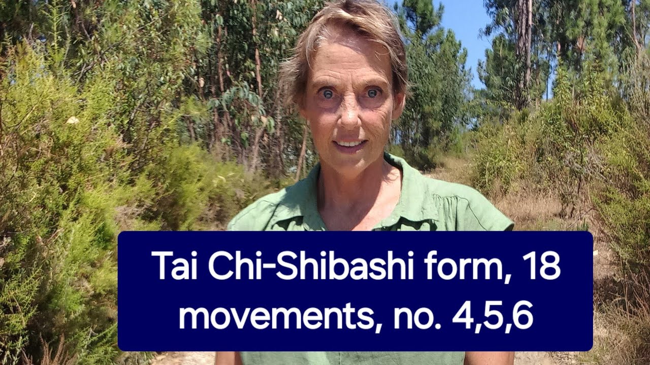 Tai Chi-Shibashi form, 18 movements, no. 4,5,6 - YouTube