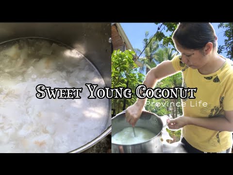 Filipino Refreshments | Sweet Young Coconut Meat & Water with Milk and ...