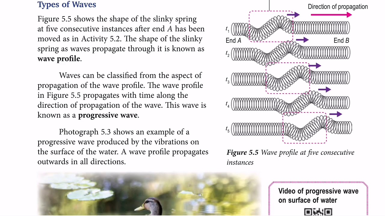 Chapter 5 (3- waves profile & progressive waves) - YouTube