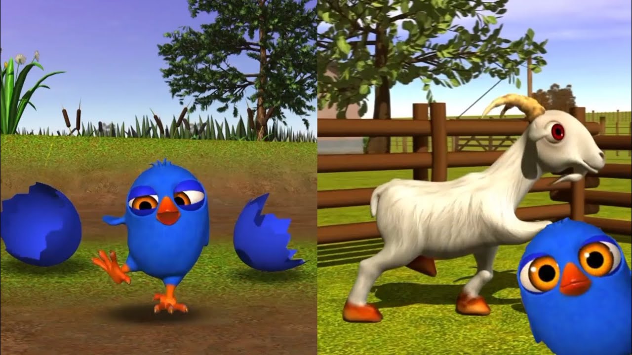 El Pollito Pio Azul y el chivo en pantalla dividida parte 2 - YouTube