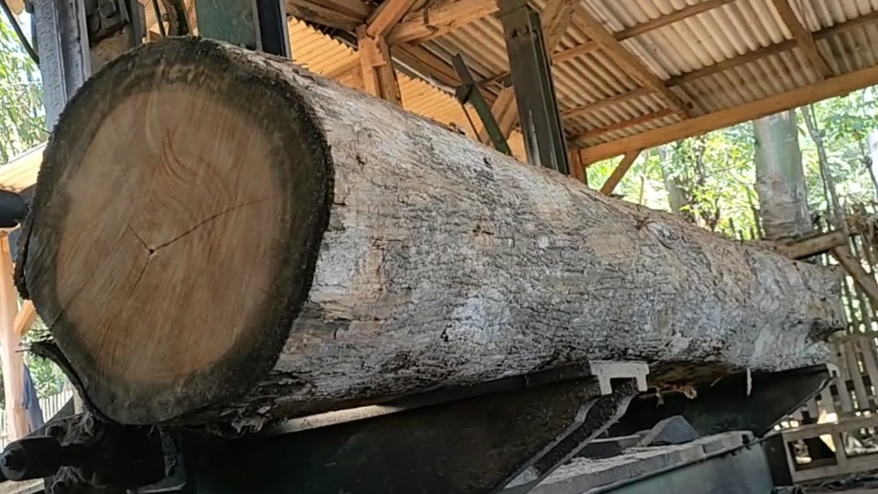 The process of cutting 4 meter long wood to make an extraordinary 4 cm ...
