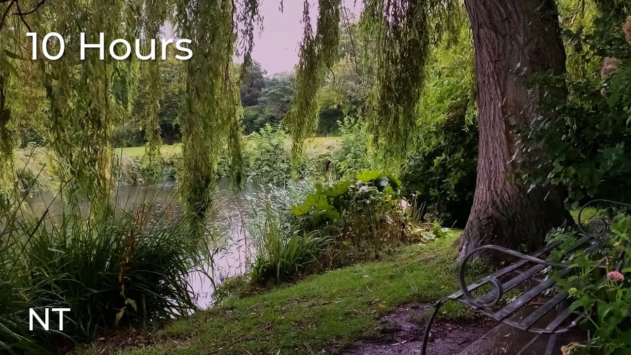 Rainy Day Stream Sounds for Sleep & Relaxation | Falling Rain & Flowing ...
