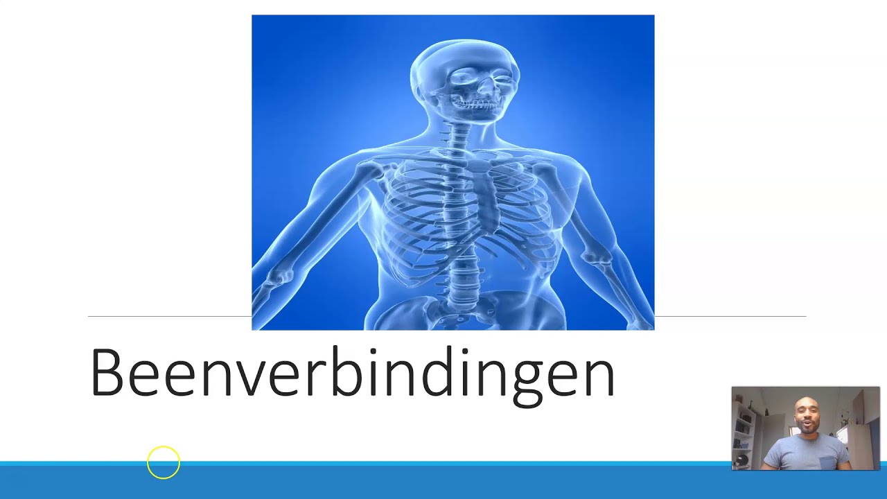 Stevigheid en beweging - Beenverbindingen - YouTube