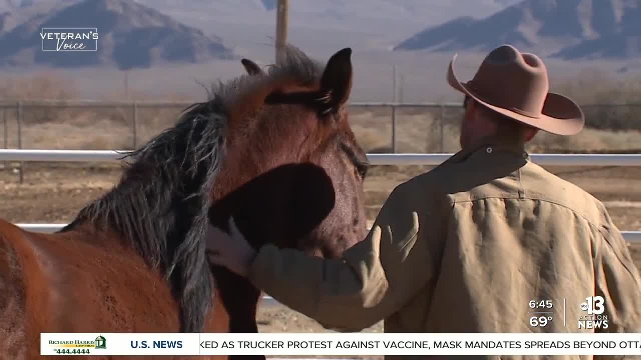 Shiloh Ranch is helping our combat veterans become civilians again ...