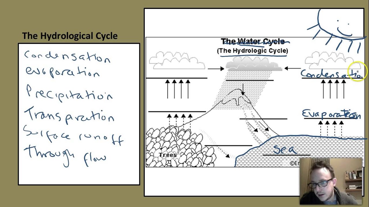 The Hydrological Cycle and Drainage Basin Systems - YouTube