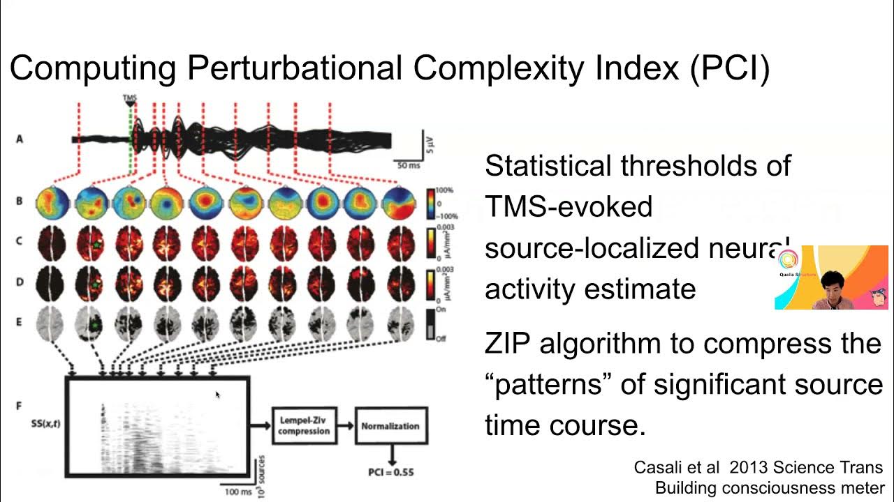 Wk 10-6 Can we construct a consciousness meter? From TMS-EEG data to an ...