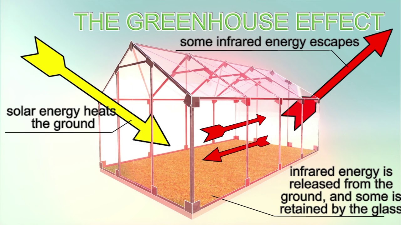 Window Shading Association of Australia - Energy Savings in Buildings ...