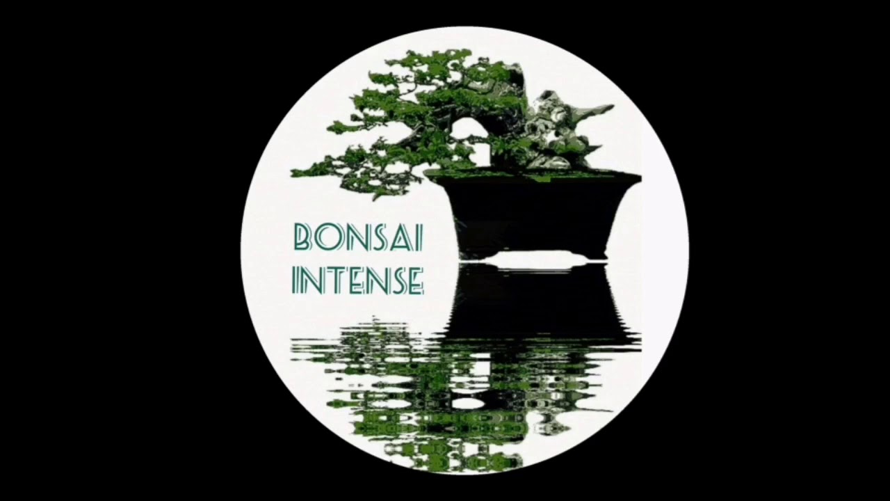 Ahern's Balok Bonsai Trees - YouTube