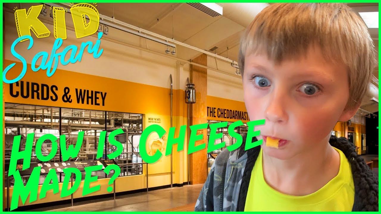 How is Cheese Made Kid Safari at Tillamook Creamery - YouTube