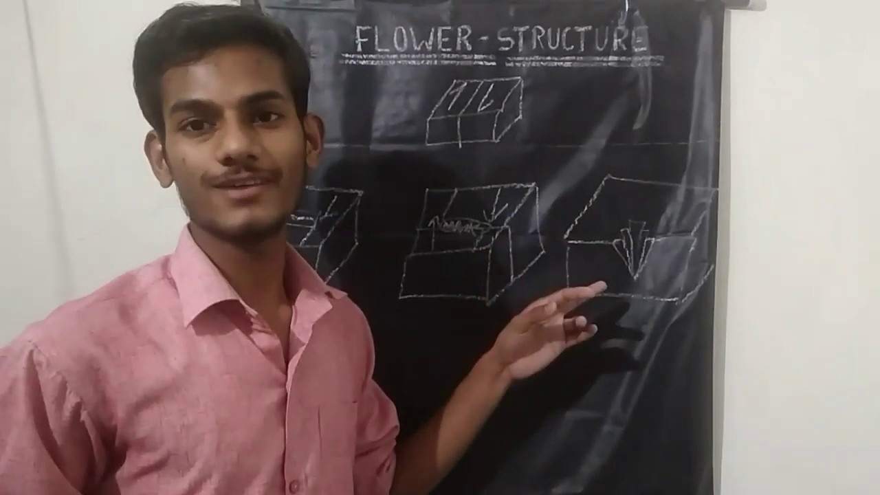 FLOWER STRUCTURE (GEOLOGY) - YouTube