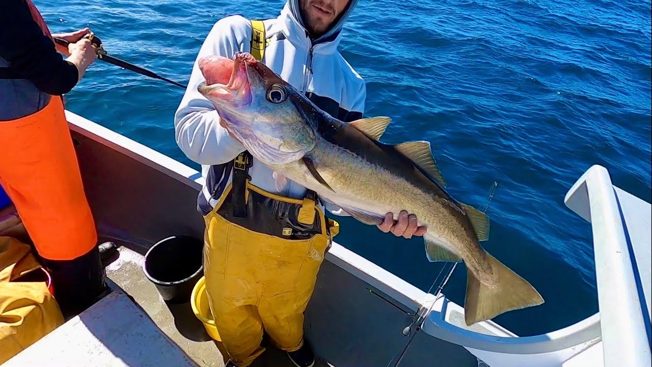 BIG HAUL - Off Shore Commercial Deep Sea Wreck Fishing in a Small Boat ...
