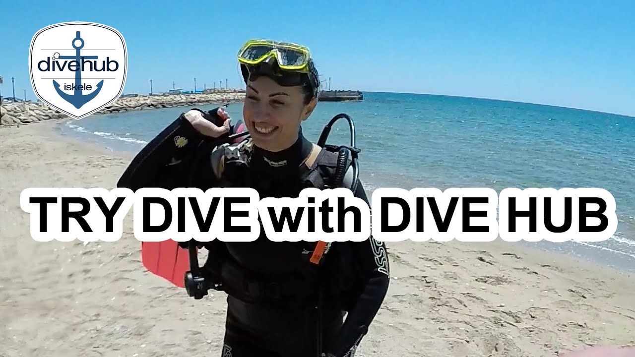 Try dive with DIVE HUB - YouTube