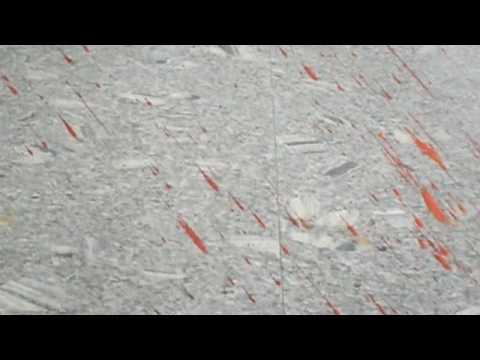 STOMP/HOP Painting with eggs and feet
