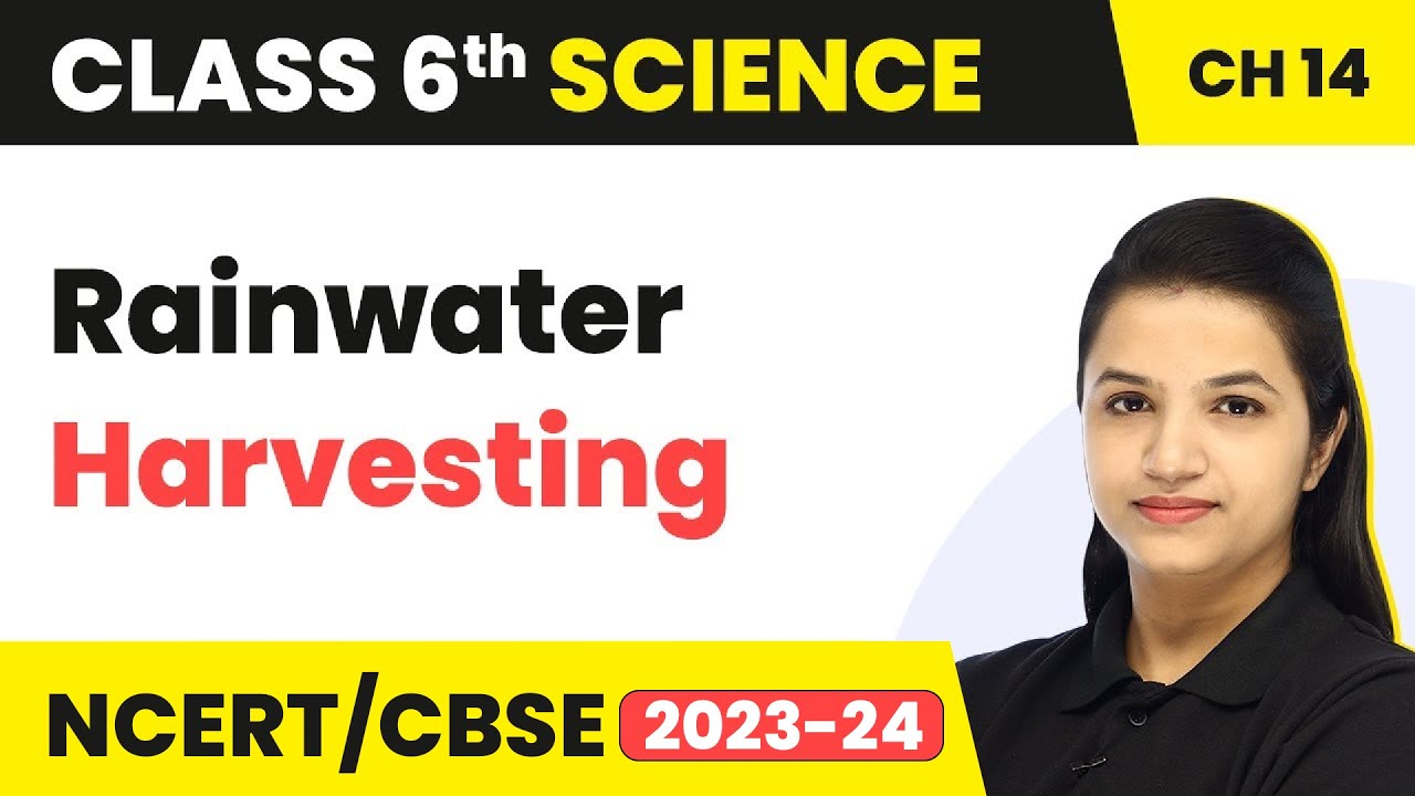 Class 6 Science Chapter 14 | Rainwater Harvesting - Water - YouTube
