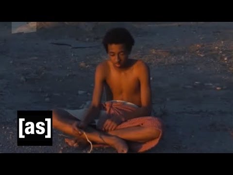 Forehead Flies | Loiter Squad | Adult Swim - YouTube