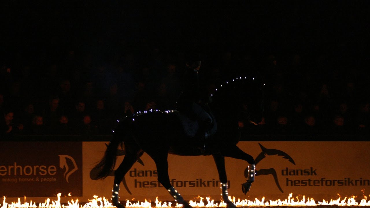Grand Prix Freestyle on fire. Anna Blomgren & Donna Summer. Herning ...