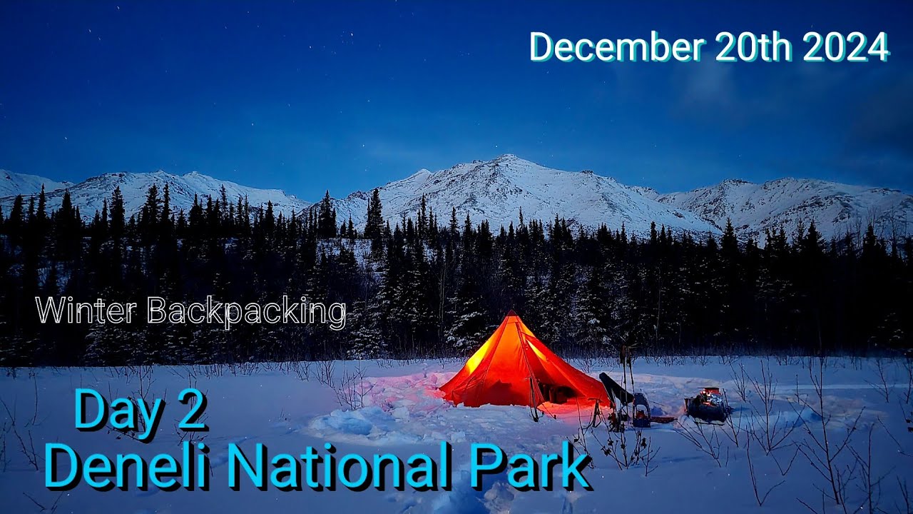 Solo Winter Backpacking in Alaska Day 2 / Denali National Park during ...
