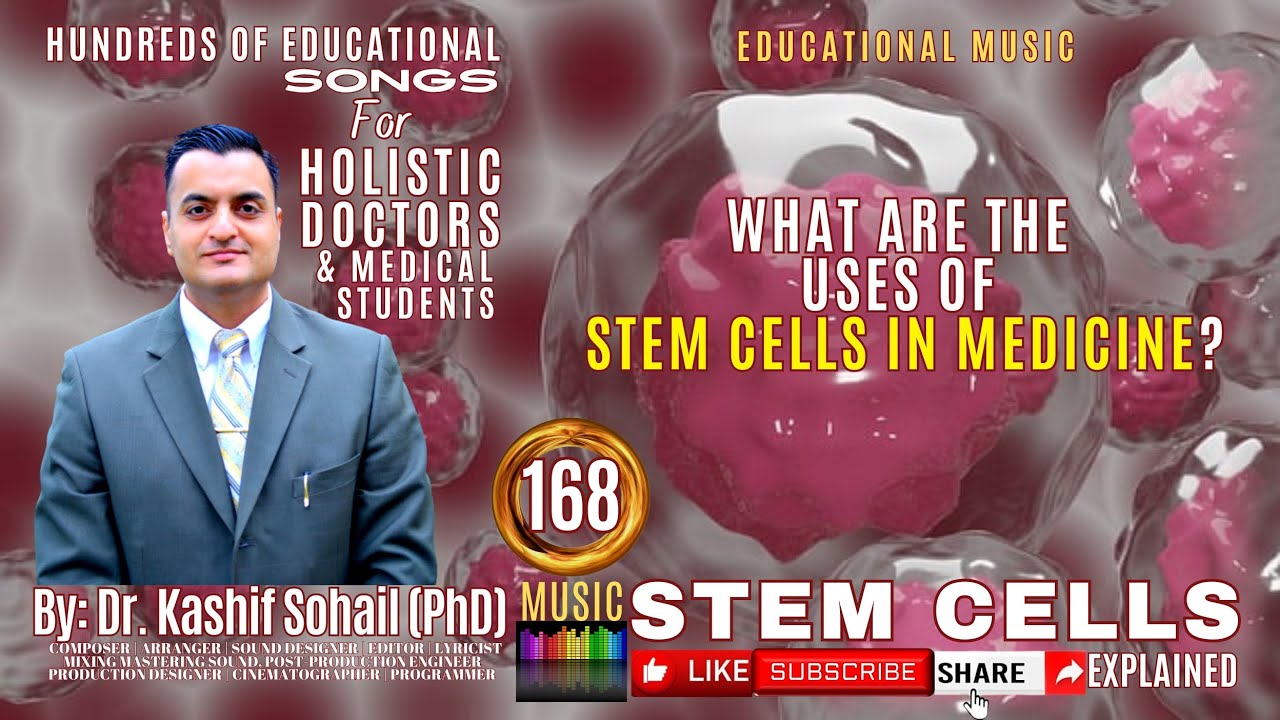 Song 168 Holistic Doctors WHAT ARE THE USES OF STEM CELLS IN MEDICINE ...