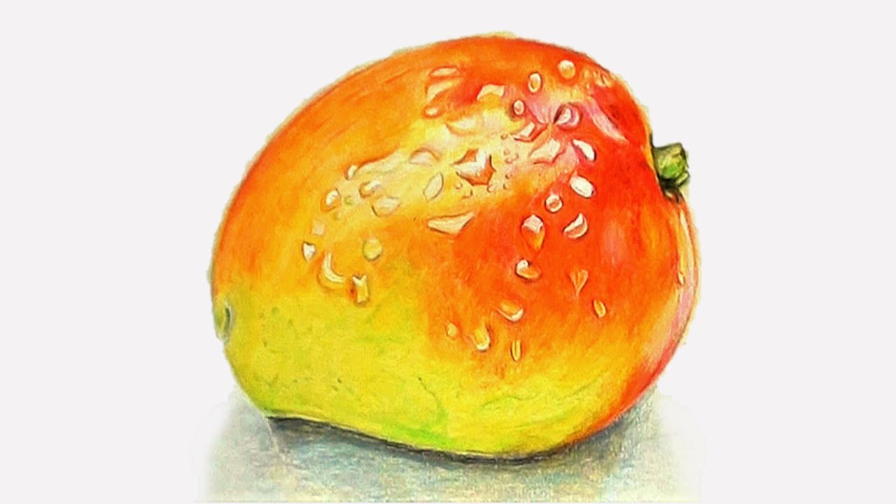 How to Draw a Mango ll Colour pencil drawing - YouTube