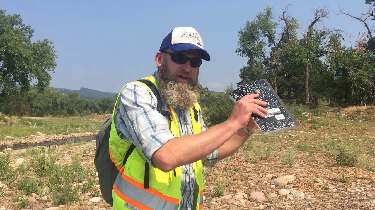 Terraced/Natural Channel Design (Regional Stream Stewardship and ...