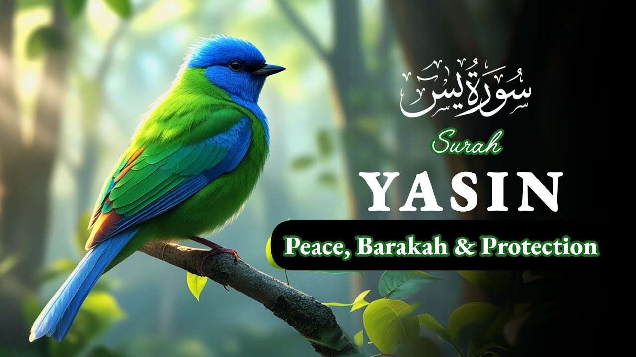 🕊️ Surah Yasin سورة يس | Heart Touching Recitation That Will Move You ...