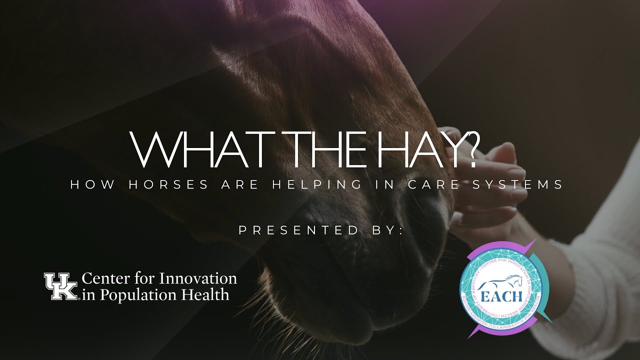 What The Hay? | Ep. 1 - YouTube