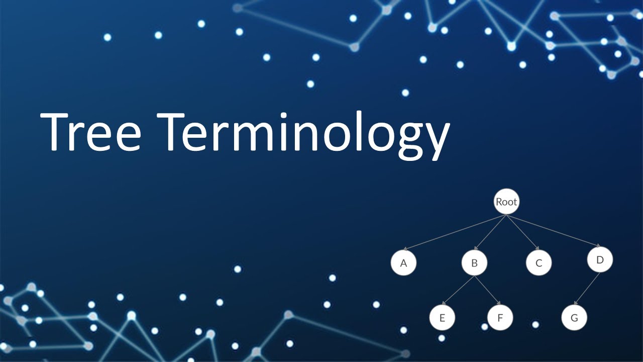 Tree Terminology - YouTube