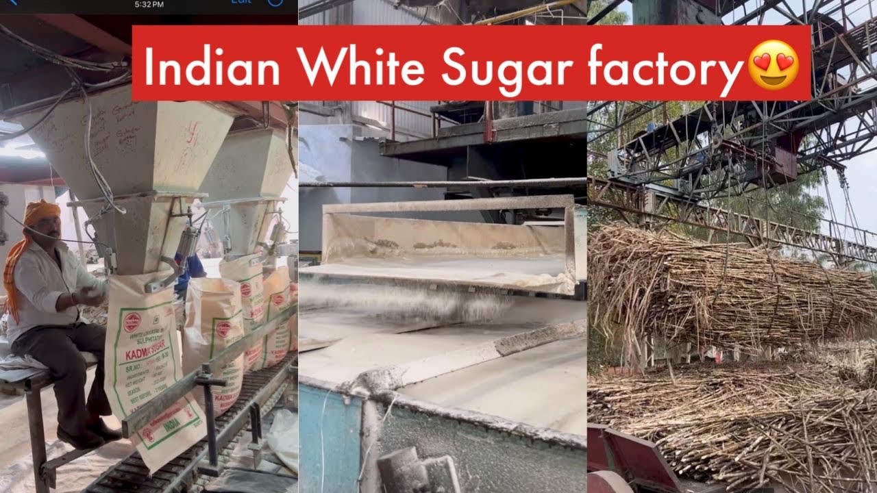 indian White Sugar Making Process in Factory😱😍💯|indian Sweet|viral ...