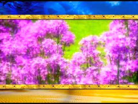 feyzullah koç - gülyüzü