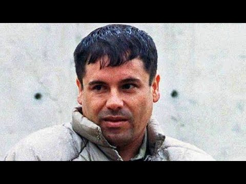 LOS 5 NARCOTRAFICANTES MÁS RICOS - YouTube