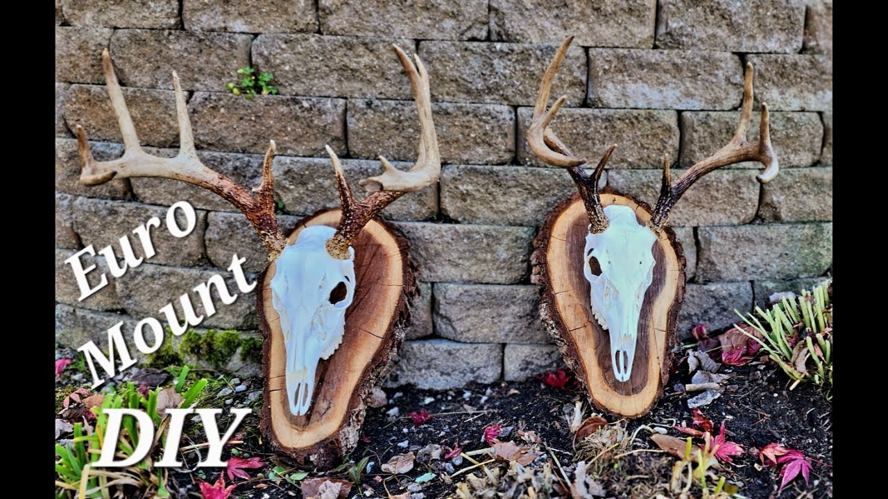 European Mount DIY. Clean and White EveryTime. - YouTube