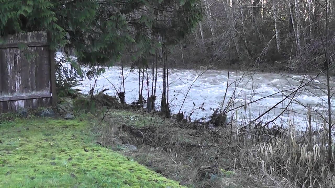Quilcene River 12/13/10 - YouTube