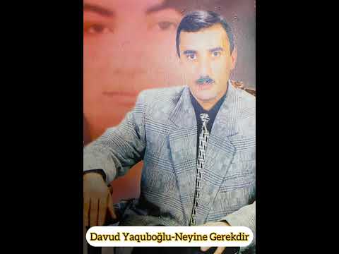 Davud Yaquboglu 2025 г.