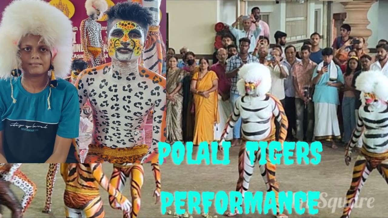 Polali Tigers Performance //Digvijaya Day at Rajangan Stage, Sri ...