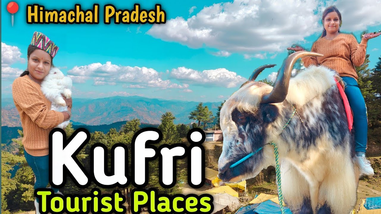 Fagu valley | kufri tourist places | shimla tourist places | shimla ...