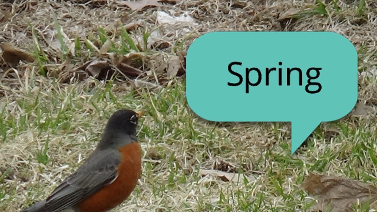 Hop Hop Robin Red Breast - YouTube