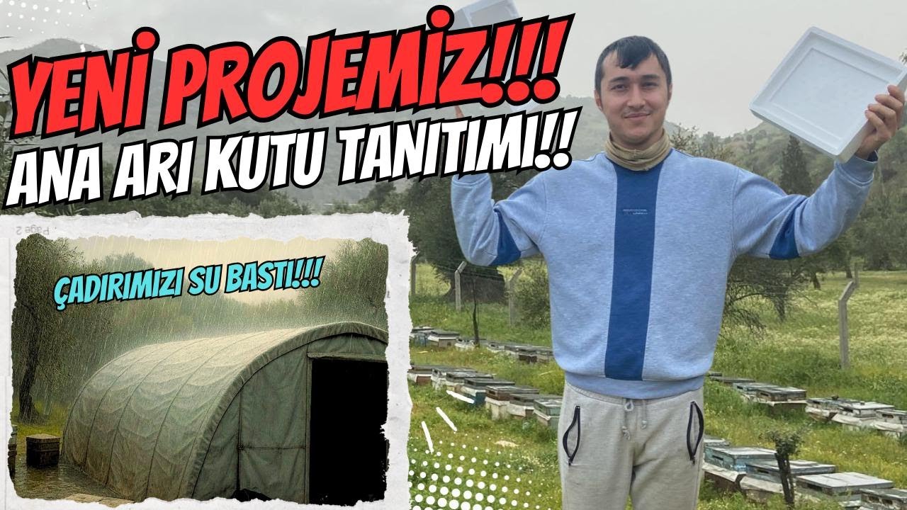 YENİ PROJE! ANA ARI ÜRETMEYE BAŞLIYORUM! ÇADIRI SU BASTI! - YouTube