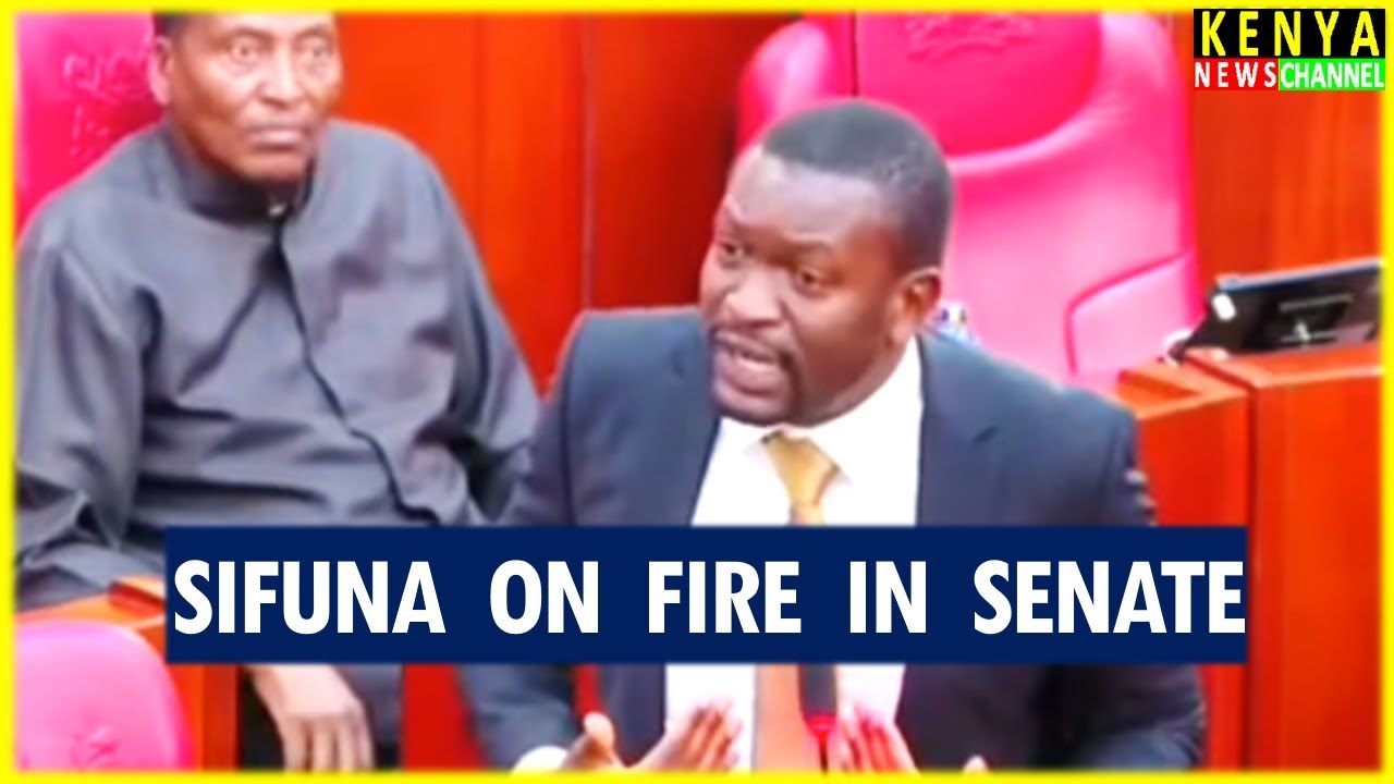 DRAMA in Senate today as ANGRY Sifuna Lectures Ruto allied Senators ...