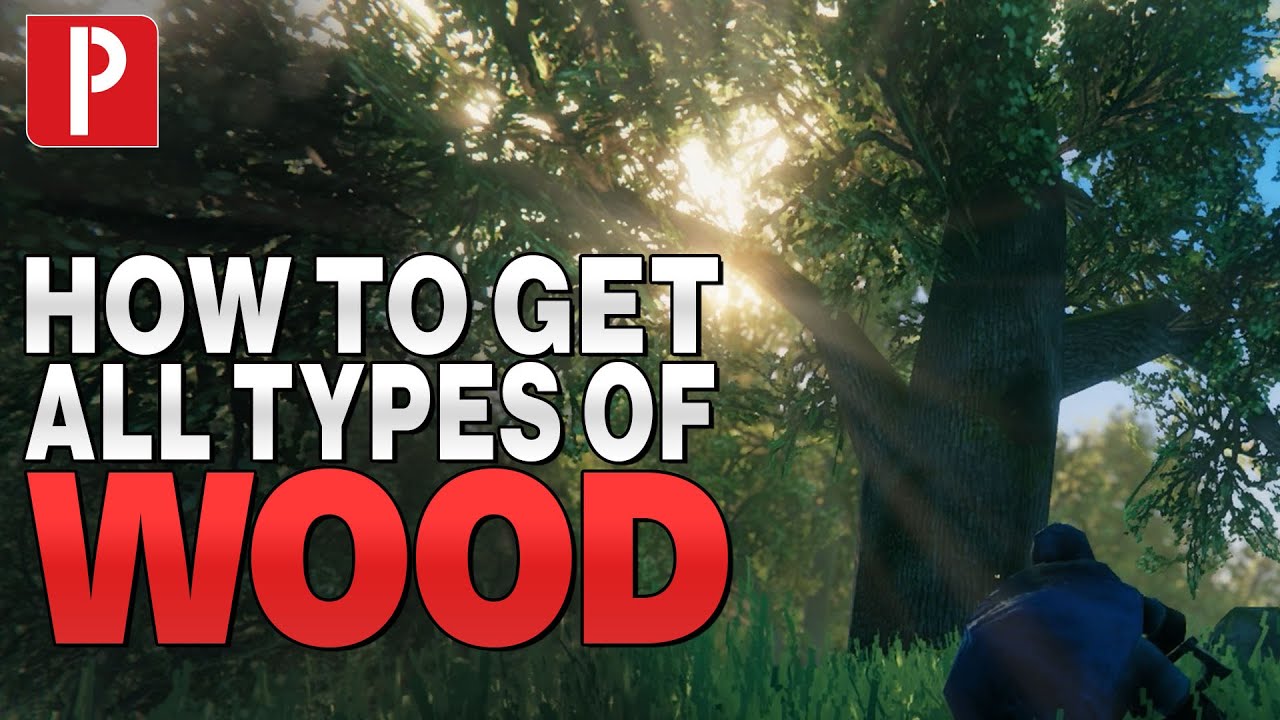 How to Get All Types of Wood in Valheim - YouTube