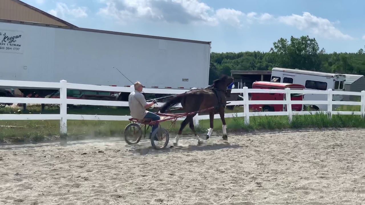 GD Drivin Horse - YouTube