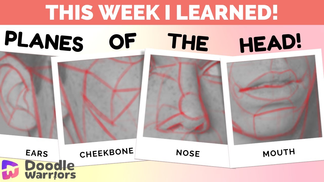 THIS is How I Learned to Draw The Planes of The Head! - YouTube